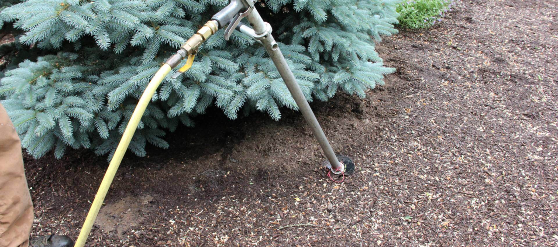 Deep Root Fertilization Services by Groundhog Turf Care in New Hampshire